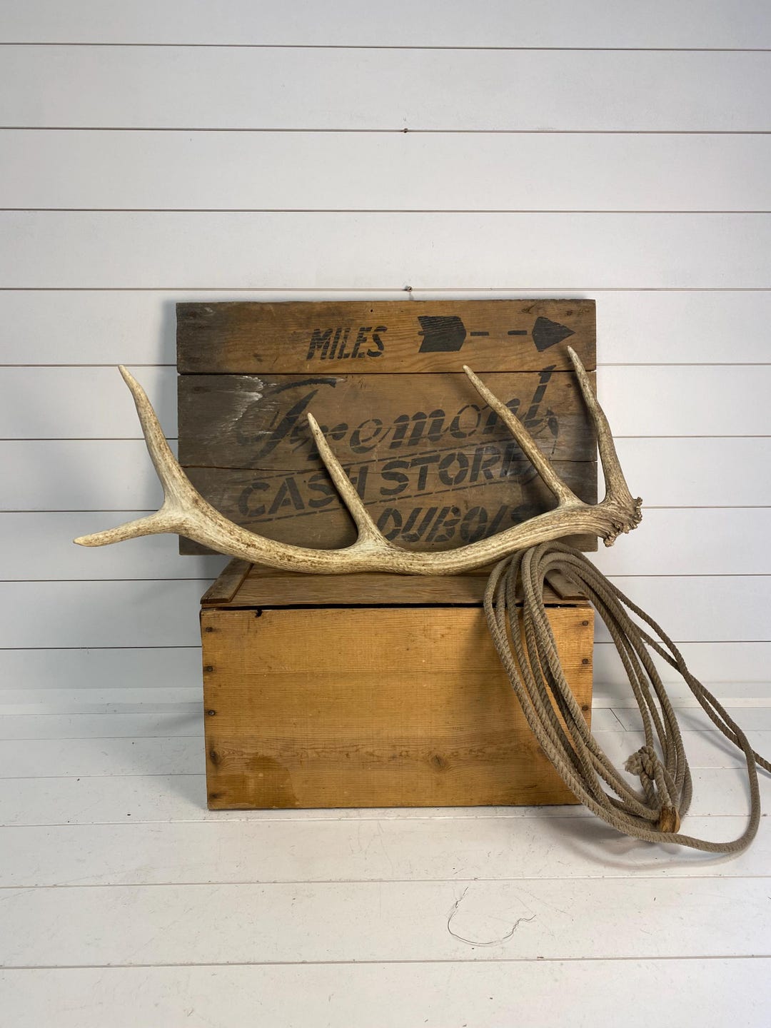 Elk Antler Naturally Shed - Authentic High Quality Desert Brown With ...