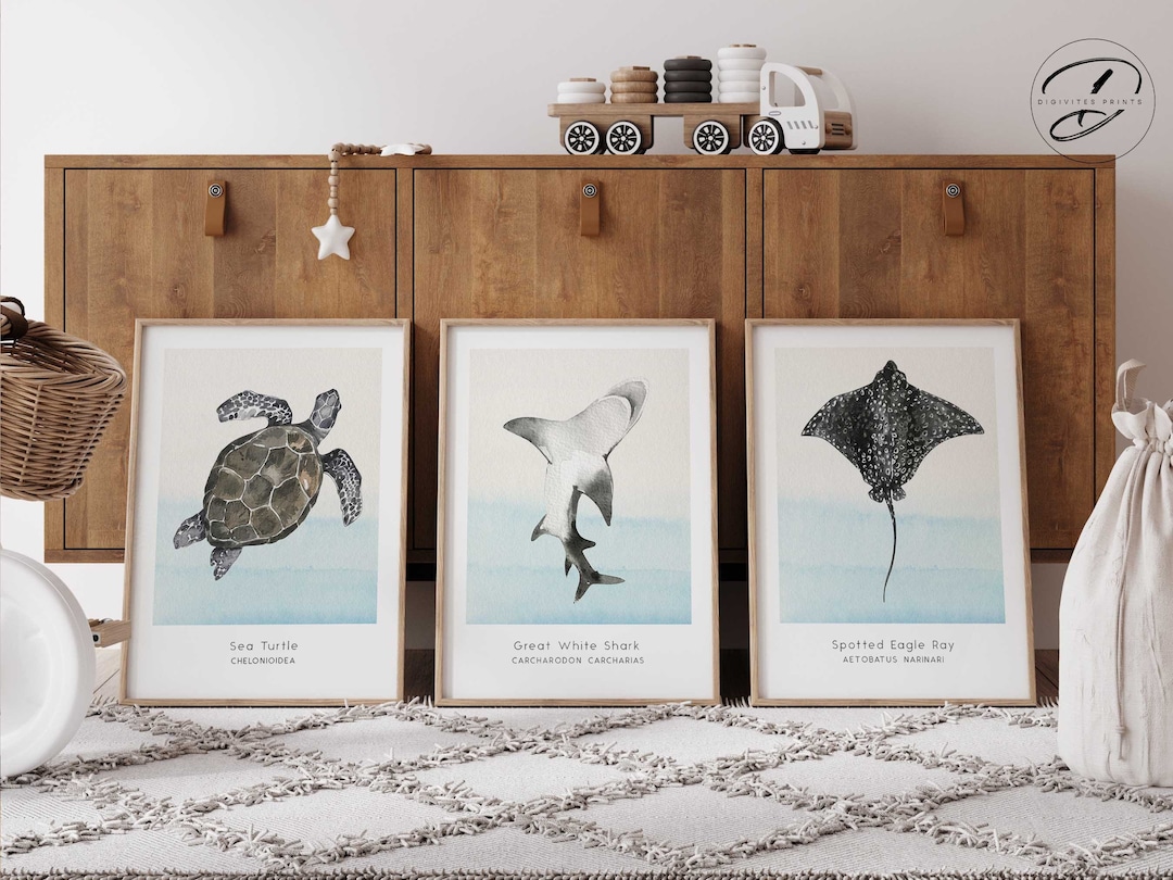 Marine Life Prints, Sea Animal Prints, Educational Wall Art, Coastal ...