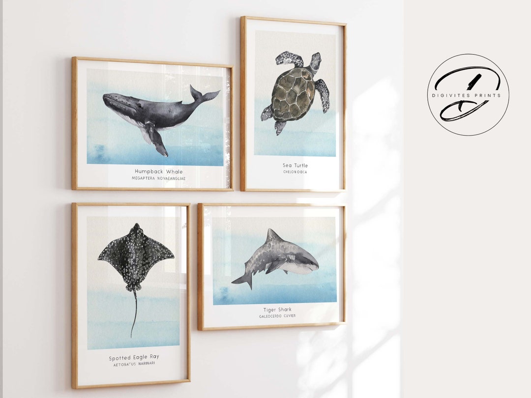 Marine Life Prints, Nature Prints, Beachy Nursery Decor, Sea Turtle Art ...