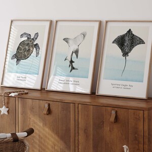 Digital Marine Life Prints, Sea Animal Prints, Educational Wall Art ...