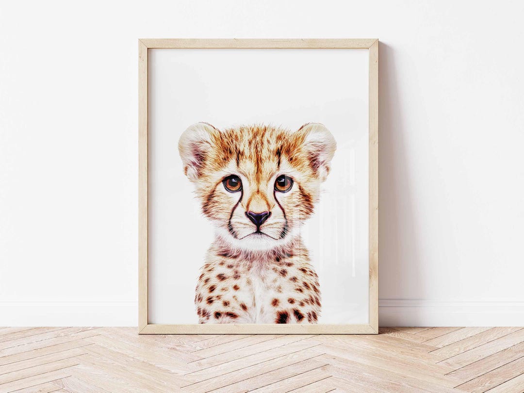 Baby Cheetah Print, Safari Nursery Wall Art - Etsy