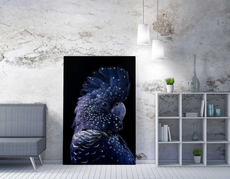 Black Cockatoo Print Cockatoo Wall Art Cockatoo Photography Etsy