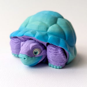 Turtle in Shell - High Definition 3D Printed Flexible Flexi Art ...