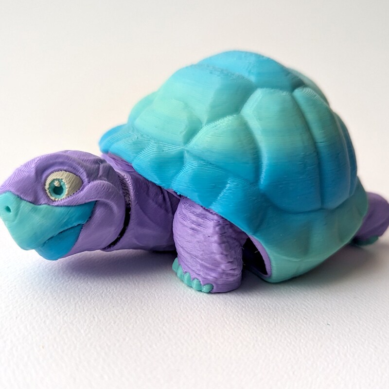 3d Tortoise - Etsy