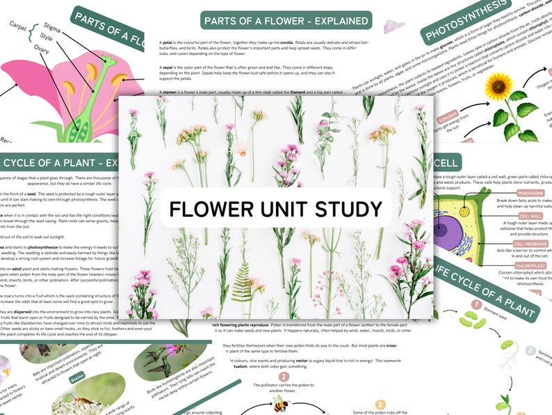 Flower Unit Study: Homeschool Nature Printable (instant Download) - Etsy