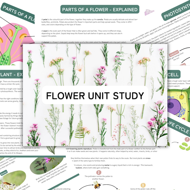 Spring Unit Study - Etsy