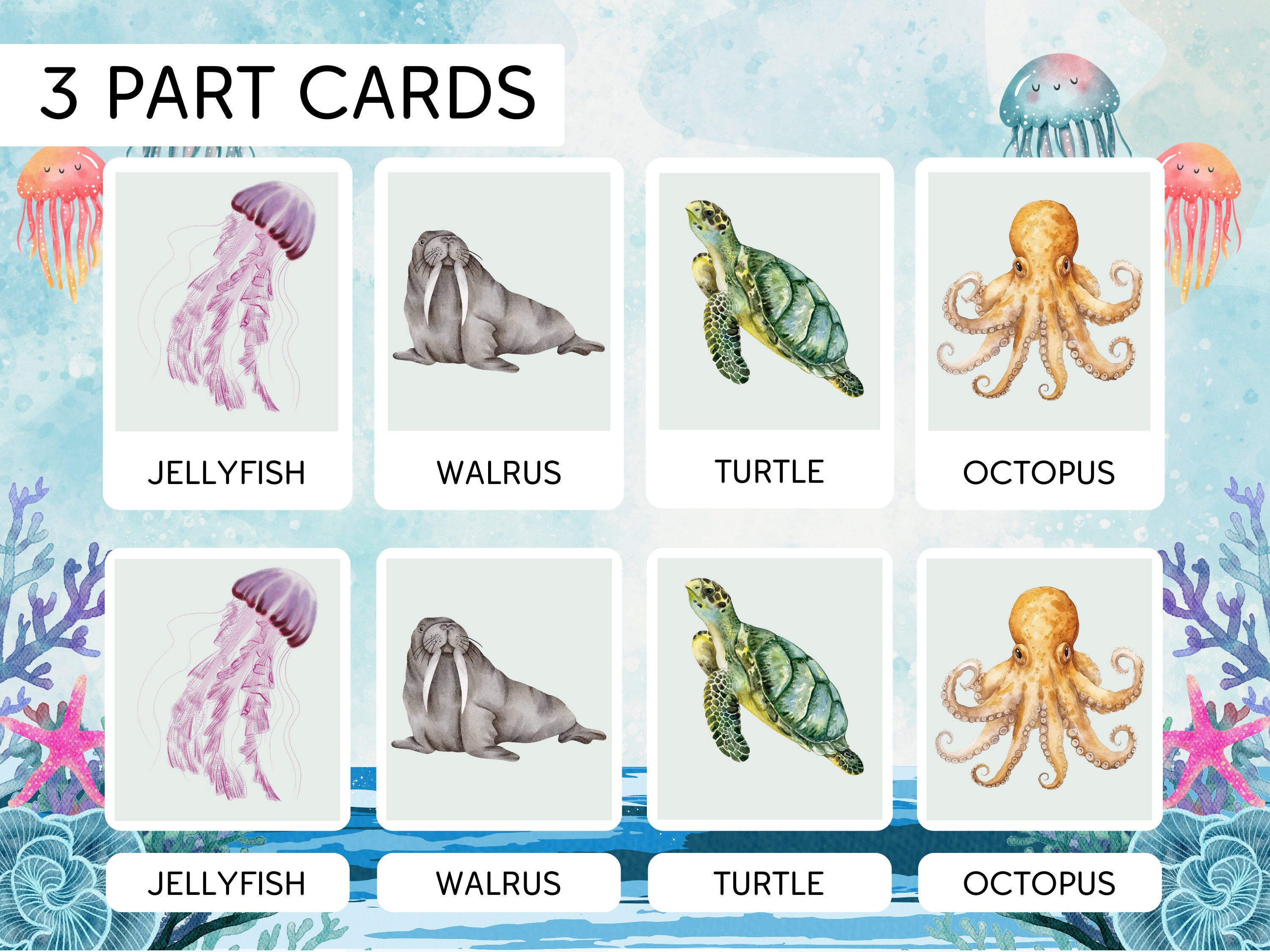 27 Ocean Animal Flashcards, Sea Life, Nature Flashcards, Montessori ...