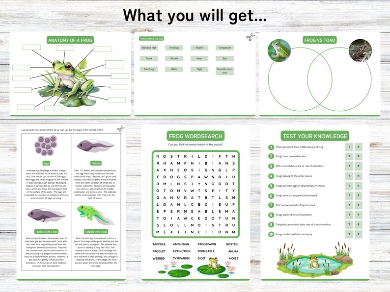 Frog Unit Study, Homeschool Printable, Nature Unit Study, Instant ...