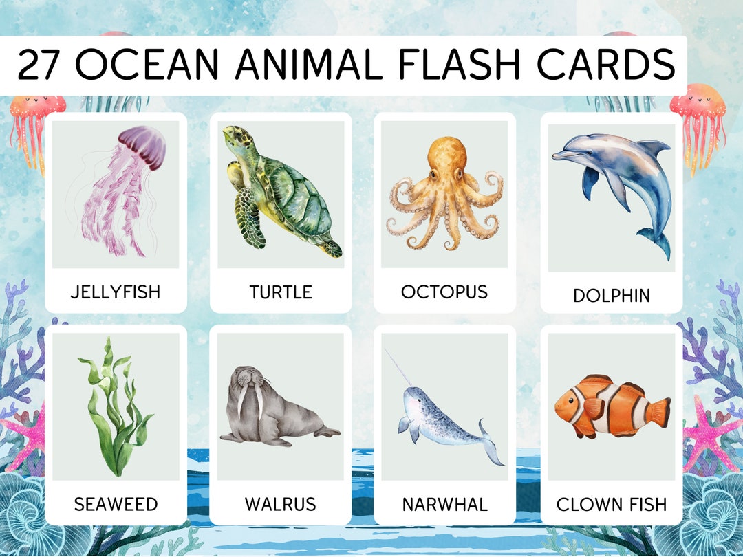 27 Ocean Animal Flashcards, Sea Life, Nature Flashcards, Montessori ...