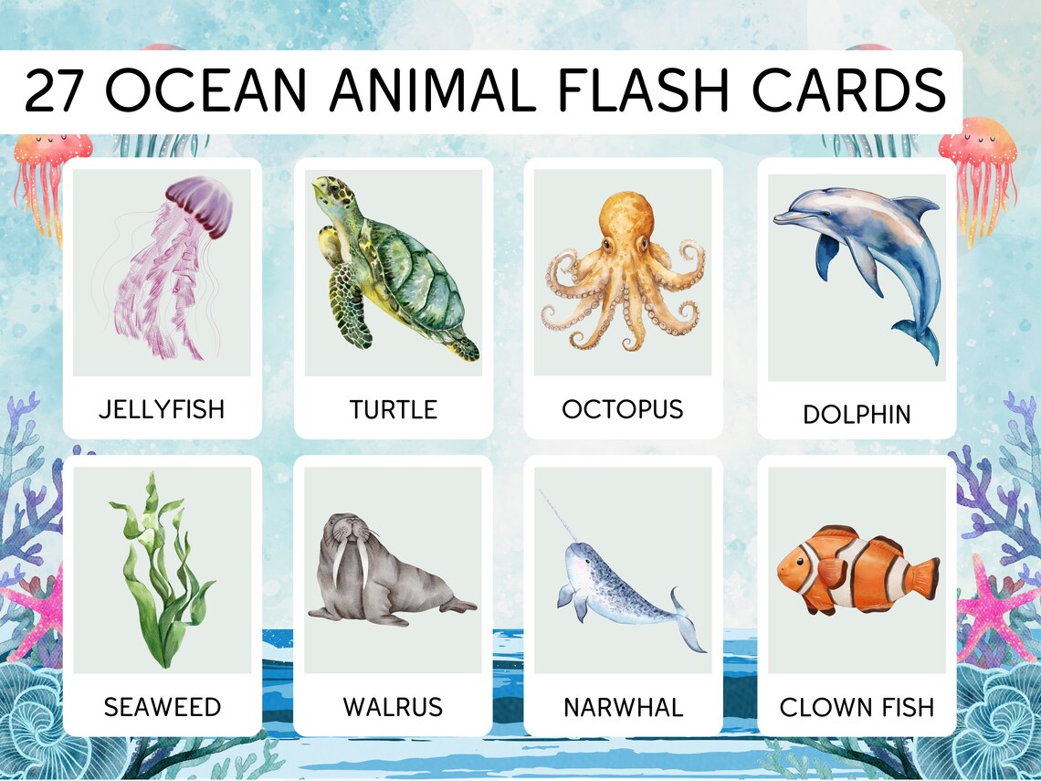 Ocean Animal Flashcards: Montessori Sea Life Cards (instant Download ...