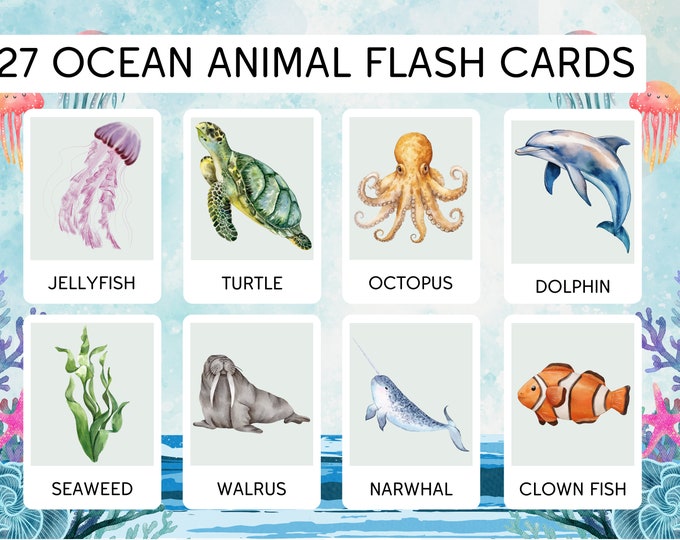 Ocean Flash Cards Animal Flash Cards for Toddlers Montessori Homeschool ...