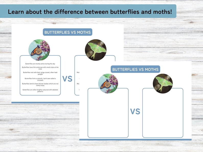 Butterfly Unit Study, Homeschool Printable, Nature Unit Study, Instant ...