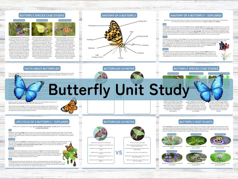 Butterfly Unit Study, Homeschool Printable, Nature Unit Study, Instant ...
