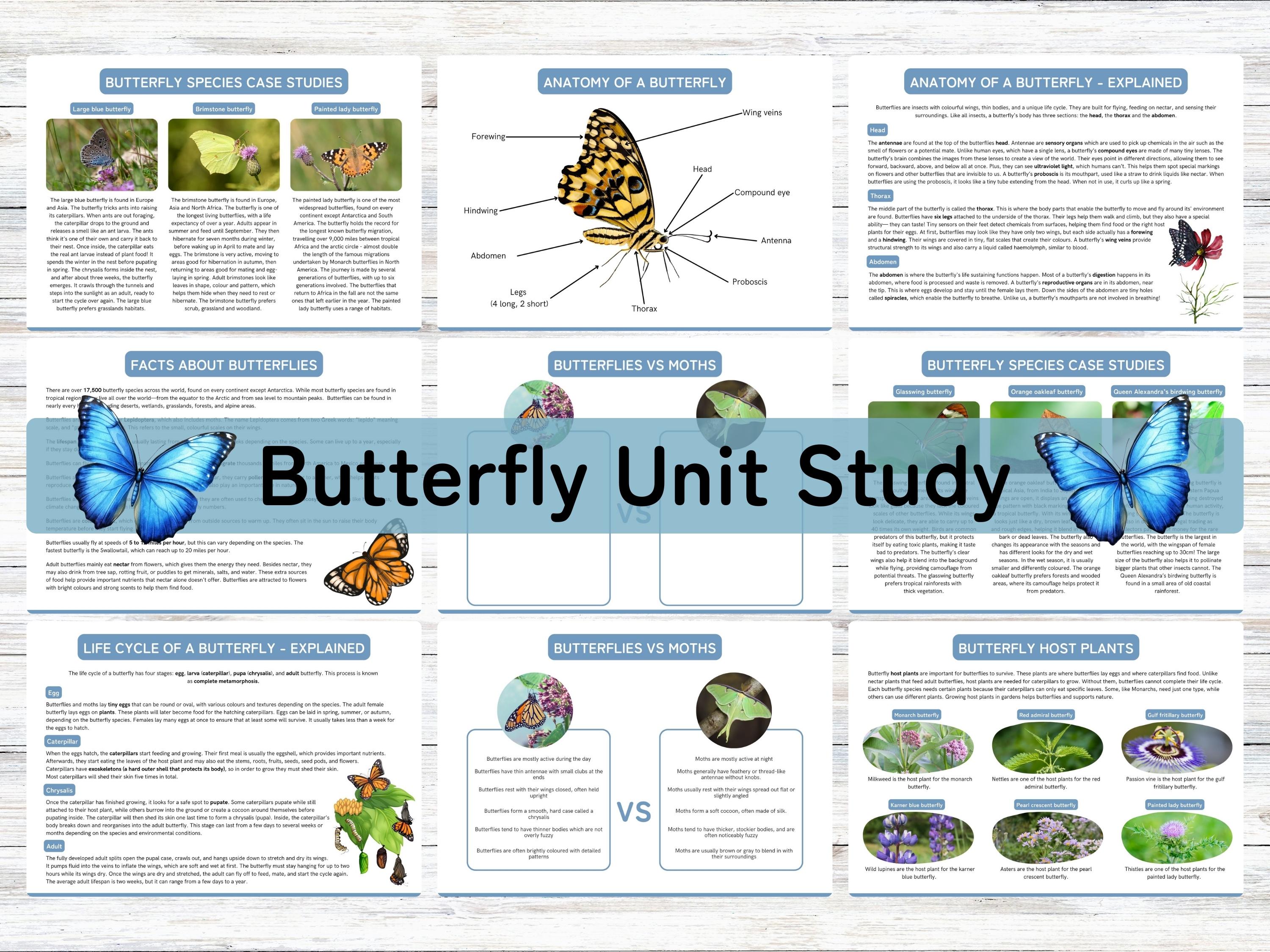 Butterfly Unit Study, Homeschool Printable, Nature Unit Study, Instant ...