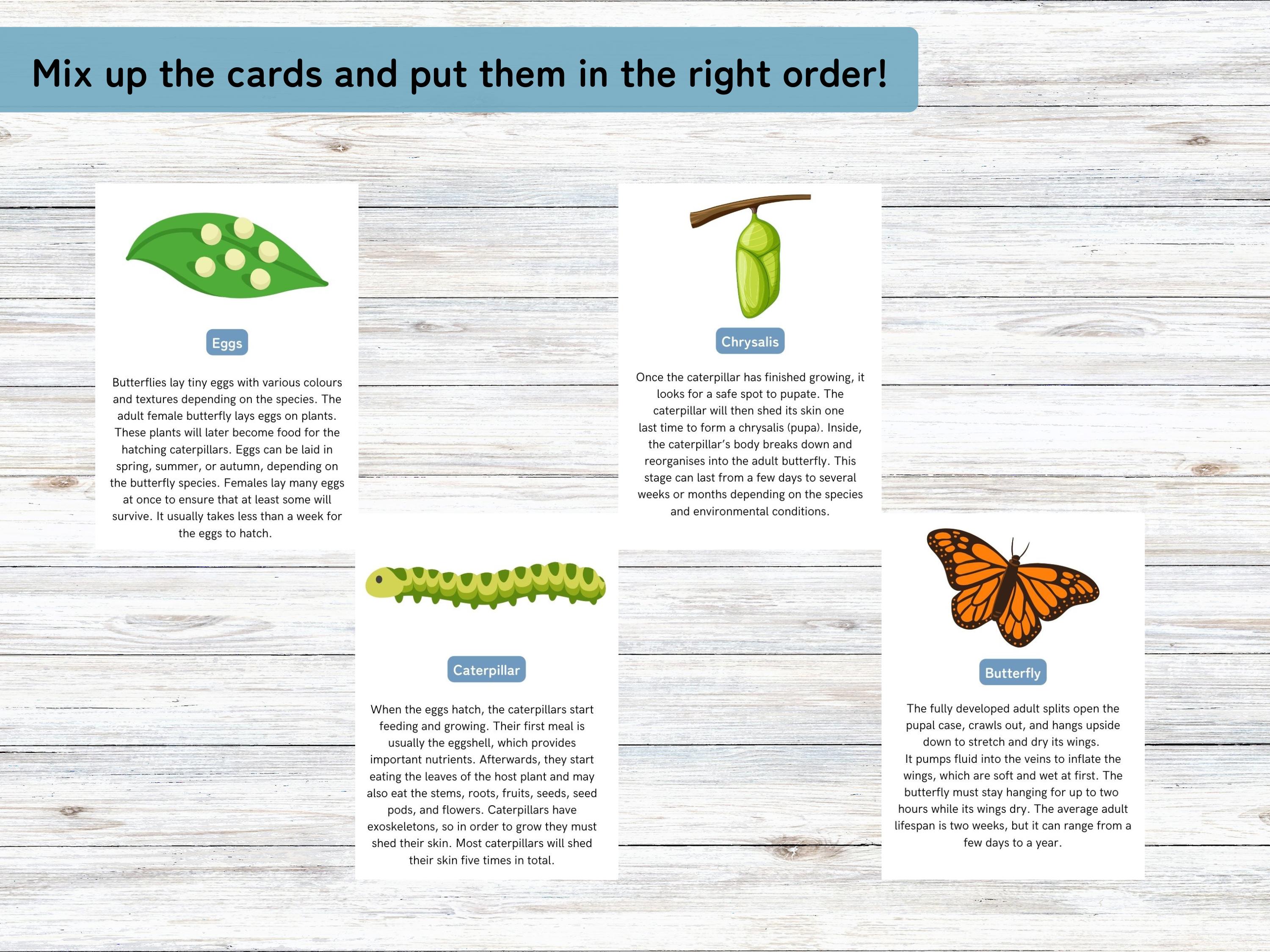 Butterfly Unit Study, Homeschool Printable, Nature Unit Study, Instant ...