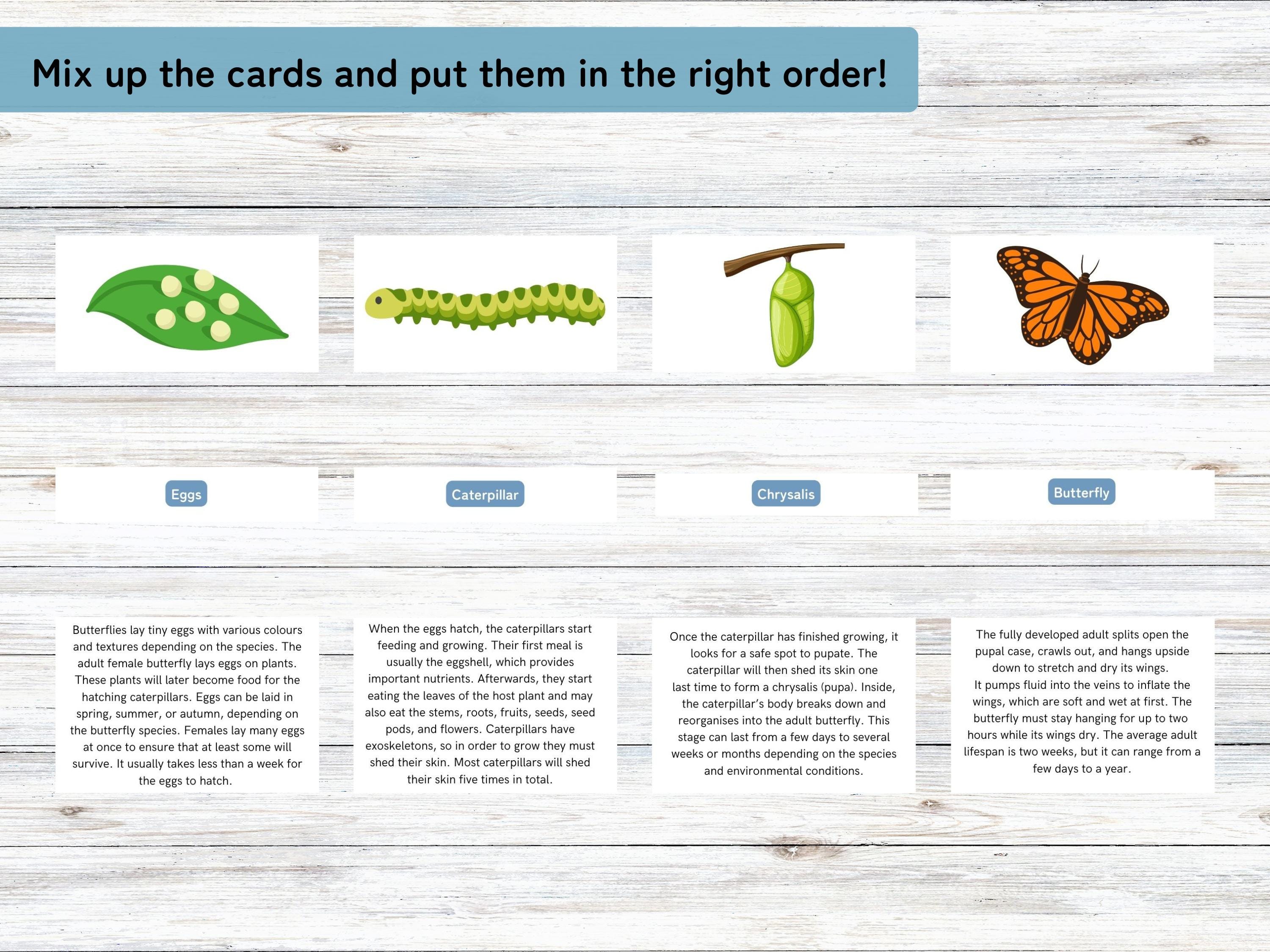 Butterfly Unit Study, Homeschool Printable, Nature Unit Study, Instant ...