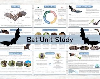 Frog Unit Study, Homeschool Printable, Nature Unit Study, Instant ...