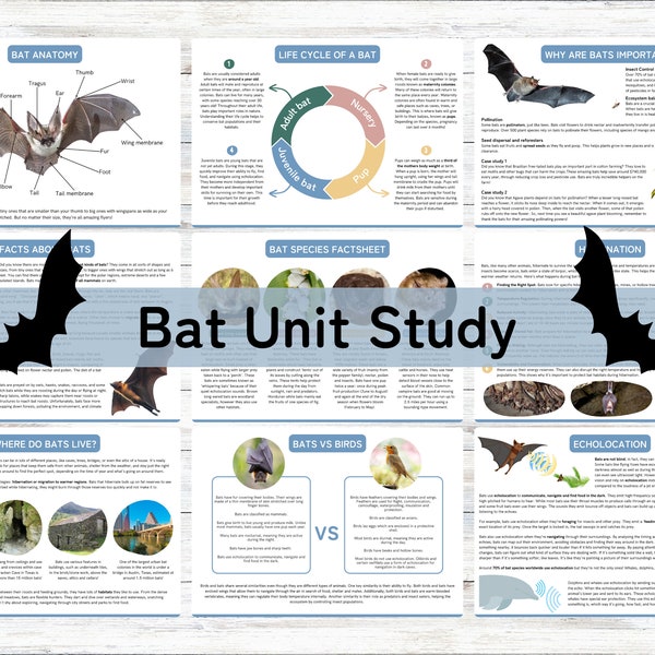 Unit Study Homeschool - Etsy