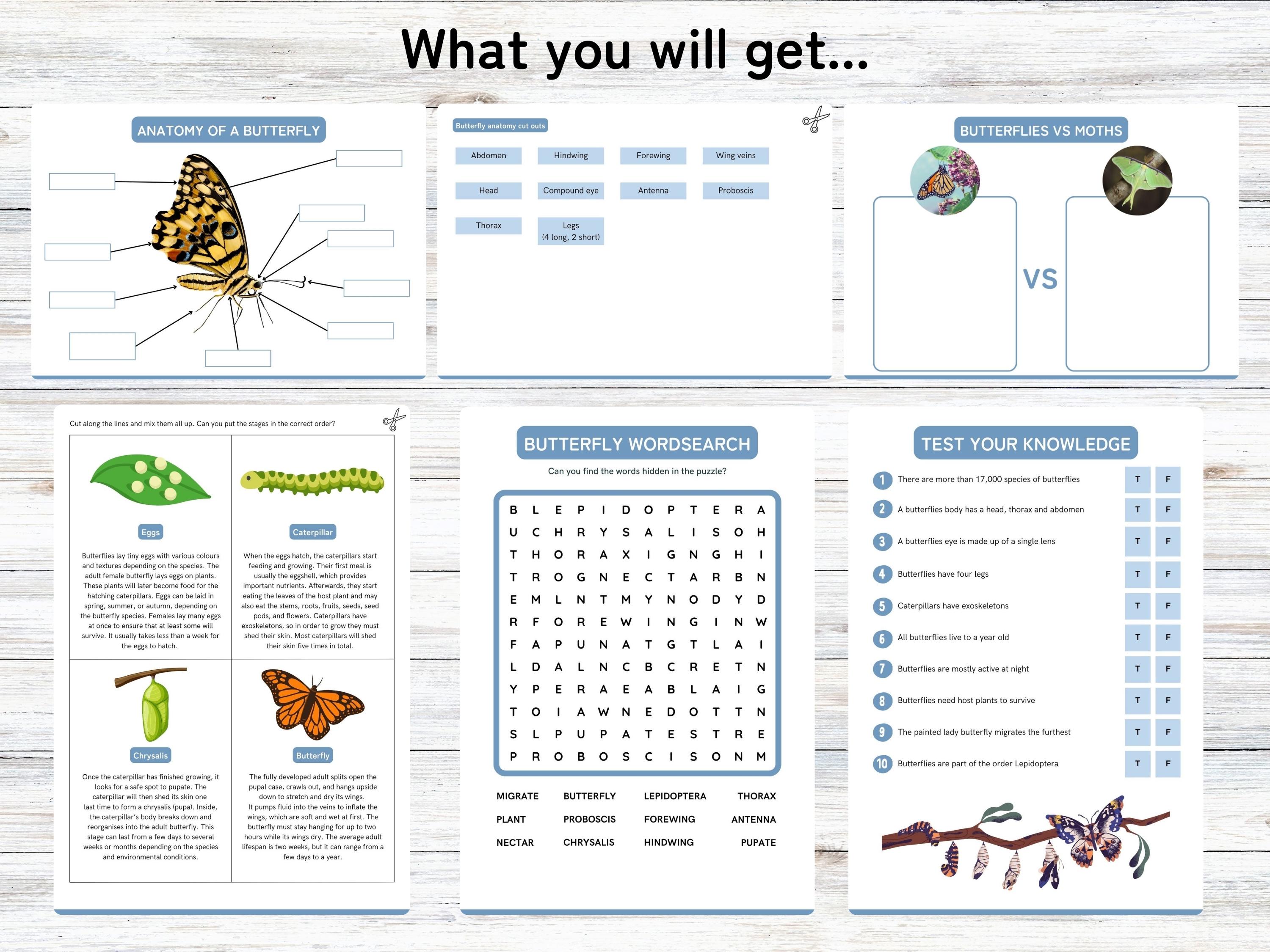 Butterfly Unit Study, Homeschool Printable, Nature Unit Study, Instant ...