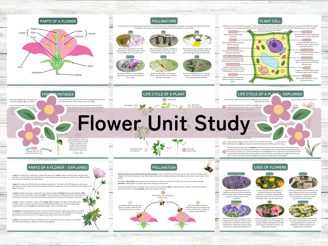 Flowers Unit Study, Homeschool Printable, Nature Unit Study, Flower ...