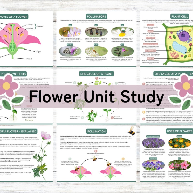 Spring Unit Study - Etsy