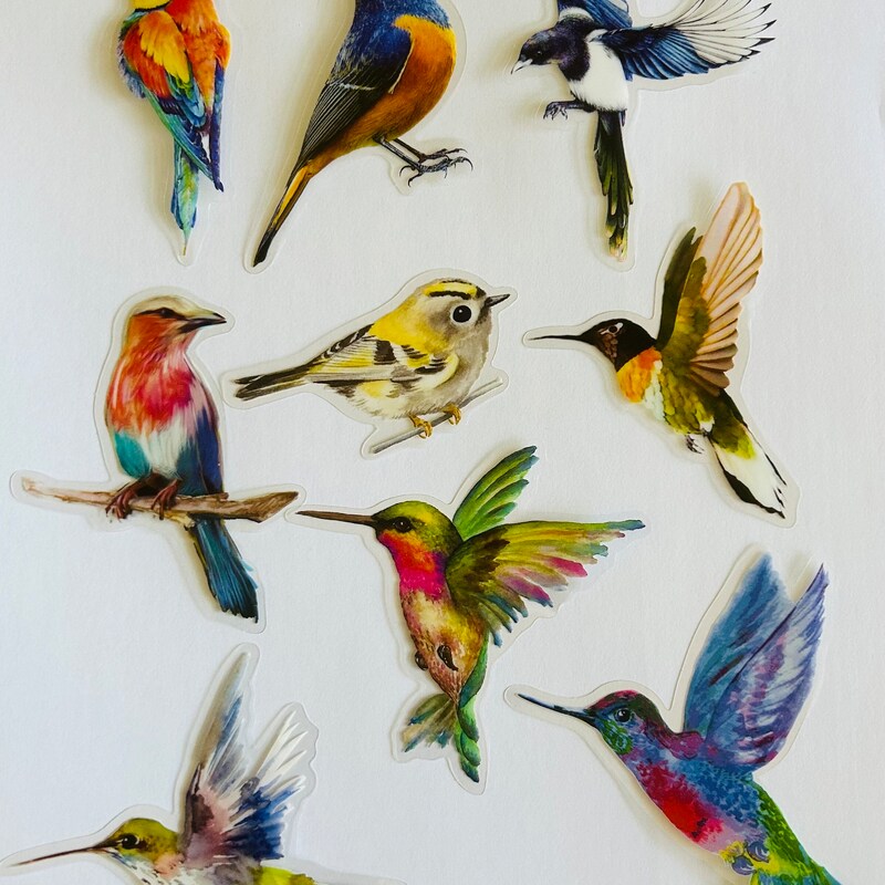 Vinyl Birds - Etsy UK