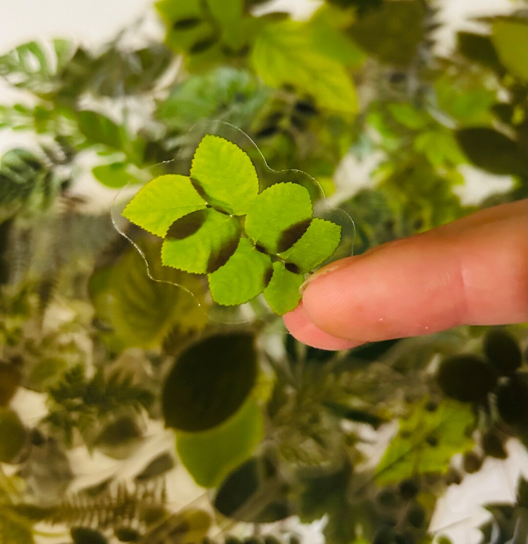 Translucent Green Leaf Stickers - Assorted Nature Stickers - Bullet ...