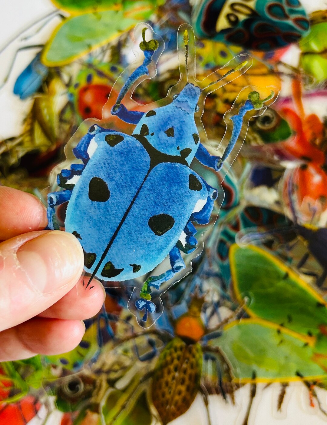 Translucent Bug Stickers - Assorted Nature Stickers - Bullet Journal ...