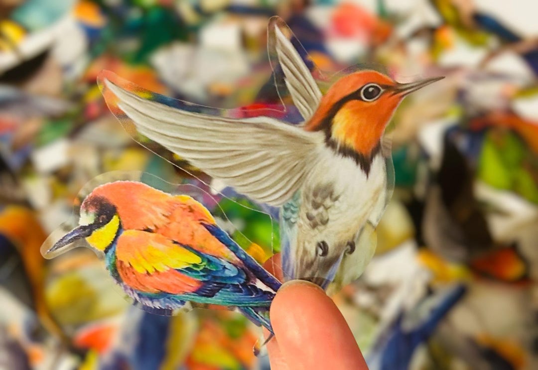 Translucent Watercolour Bird Stickers: Nature Inspired Decals for ...