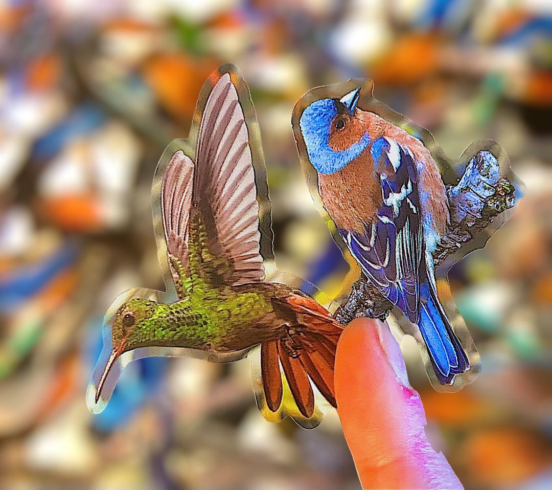 Translucent Bird Sticker Mix: Nature Inspired Decals for Scrapbooking ...