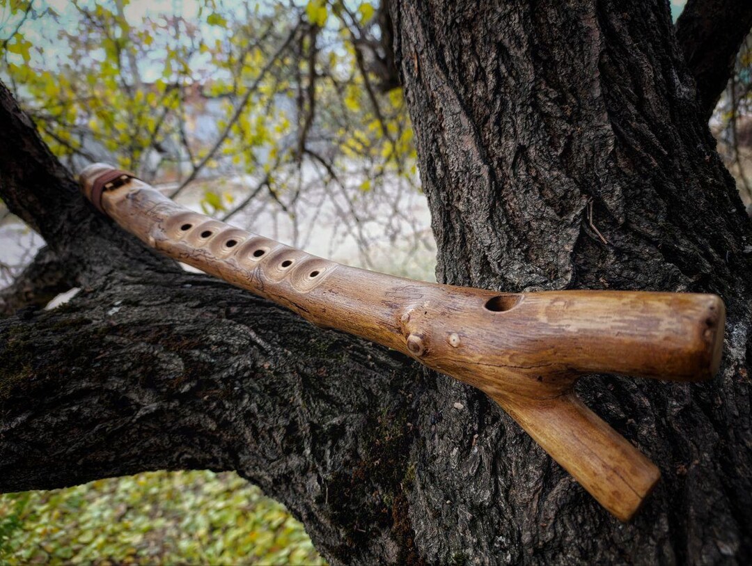 Native American Flute Made From a Curved Knotted Ash Branch in the Key ...