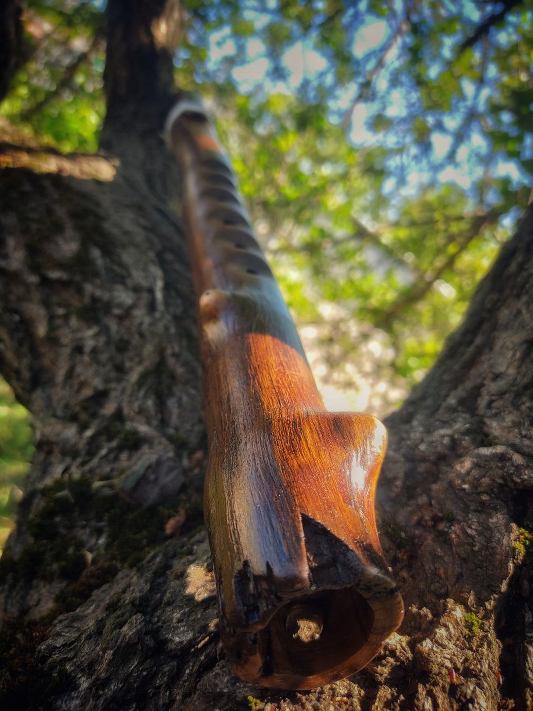 Native American Flute Made From a Curved Ash Branch in the Key of F - Etsy