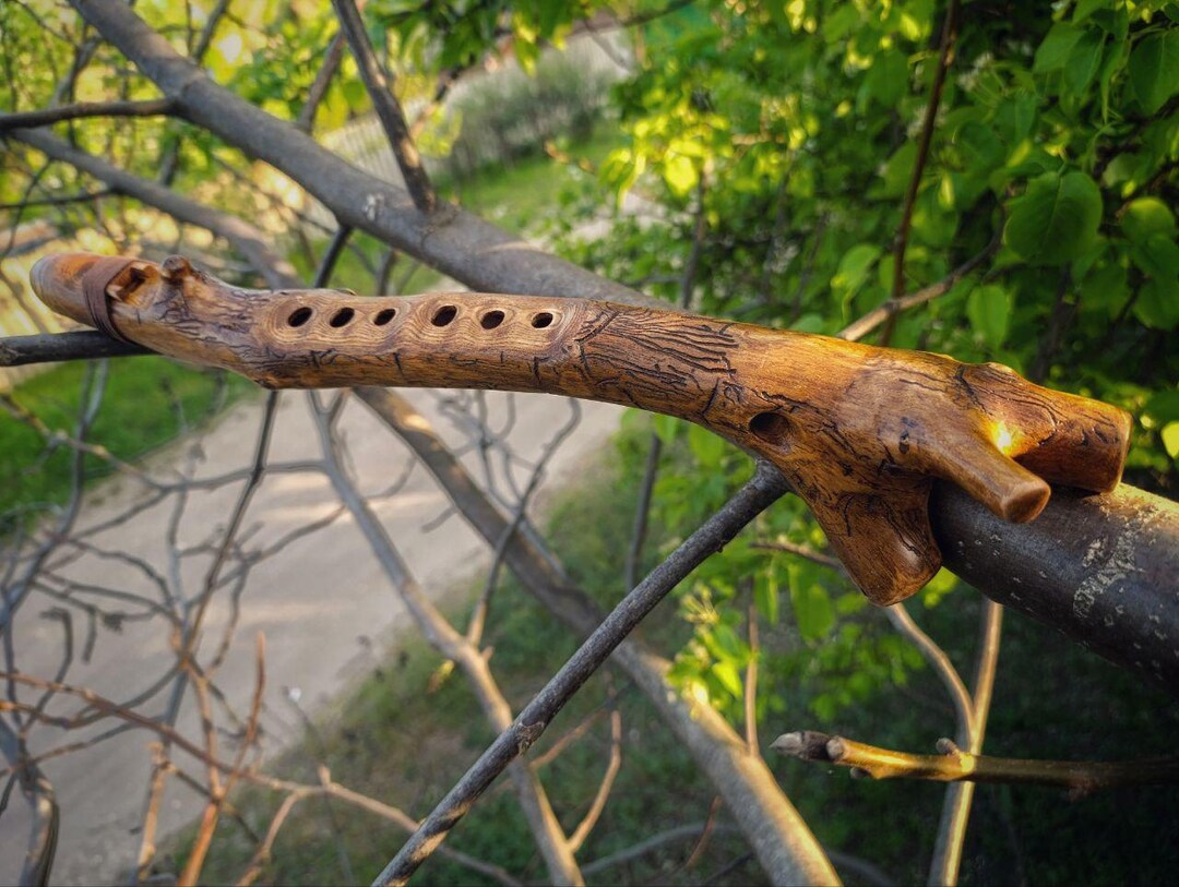 Native American Flute Made From a Curved Knotted Ash Branch in the Key ...