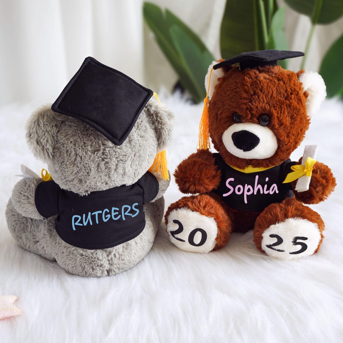 Personalized Graduation Plush Bear: Keepsake Gift for Grads - Etsy