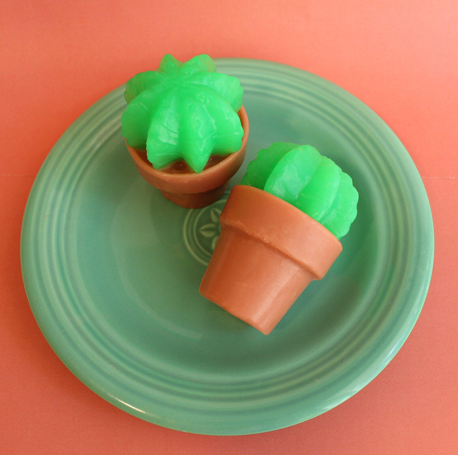 Cactus Soap Succulent Soap Garden Soap Plant Soap Lime - Etsy