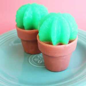 Cactus Soap - Succulent Soap, Garden Soap, Plant Soap, Lime Soap ...