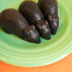Rat Soap - Halloween Soap, Gag Gift, Prank Soap, Fall Soap, Black ...