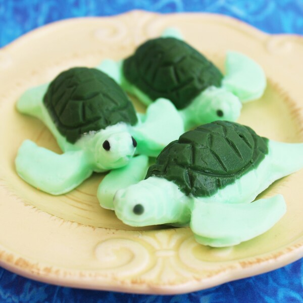 Turtle Soap - Etsy