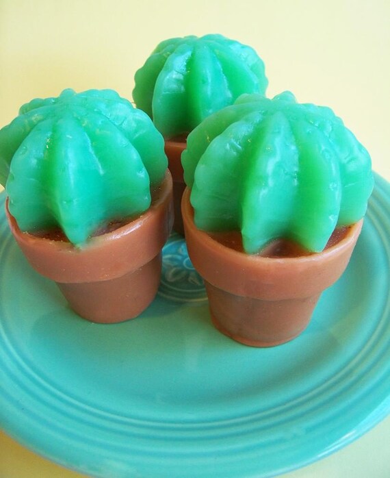 Cactus Soap Succulent Soap Garden Soap Plant Soap Lime | Etsy