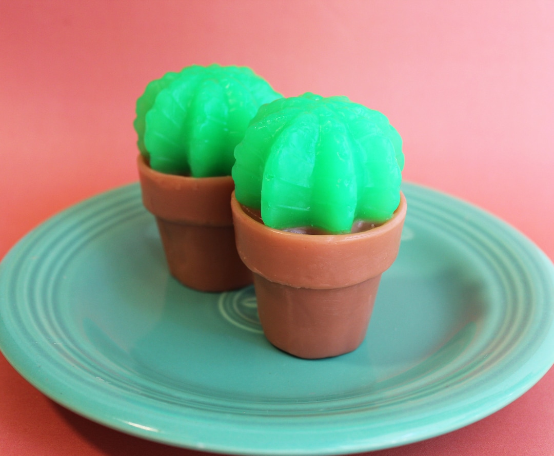 Cactus Soap - Succulent Soap, Garden Soap, Plant Soap, Lime Soap ...