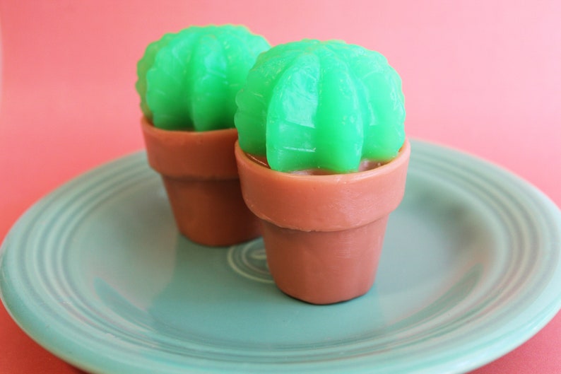 Cactus Soap Succulent Soap Garden Soap Plant Soap Lime - Etsy