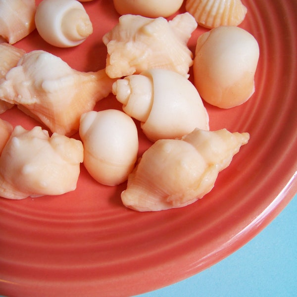 Shell Soaps - Etsy