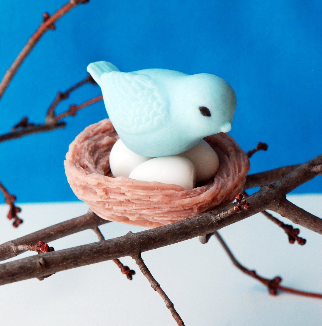 Blue Bird Soap Nest Set Bird Soap, Chocolate Scented, Egg Soap, Baby ...