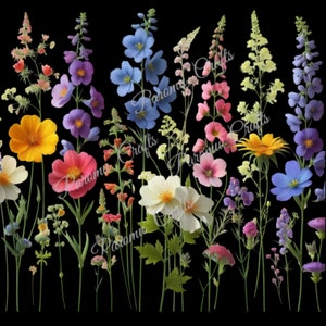 Flower Row Clip Art Transparent Background Wild Flower Row Nature Card ...
