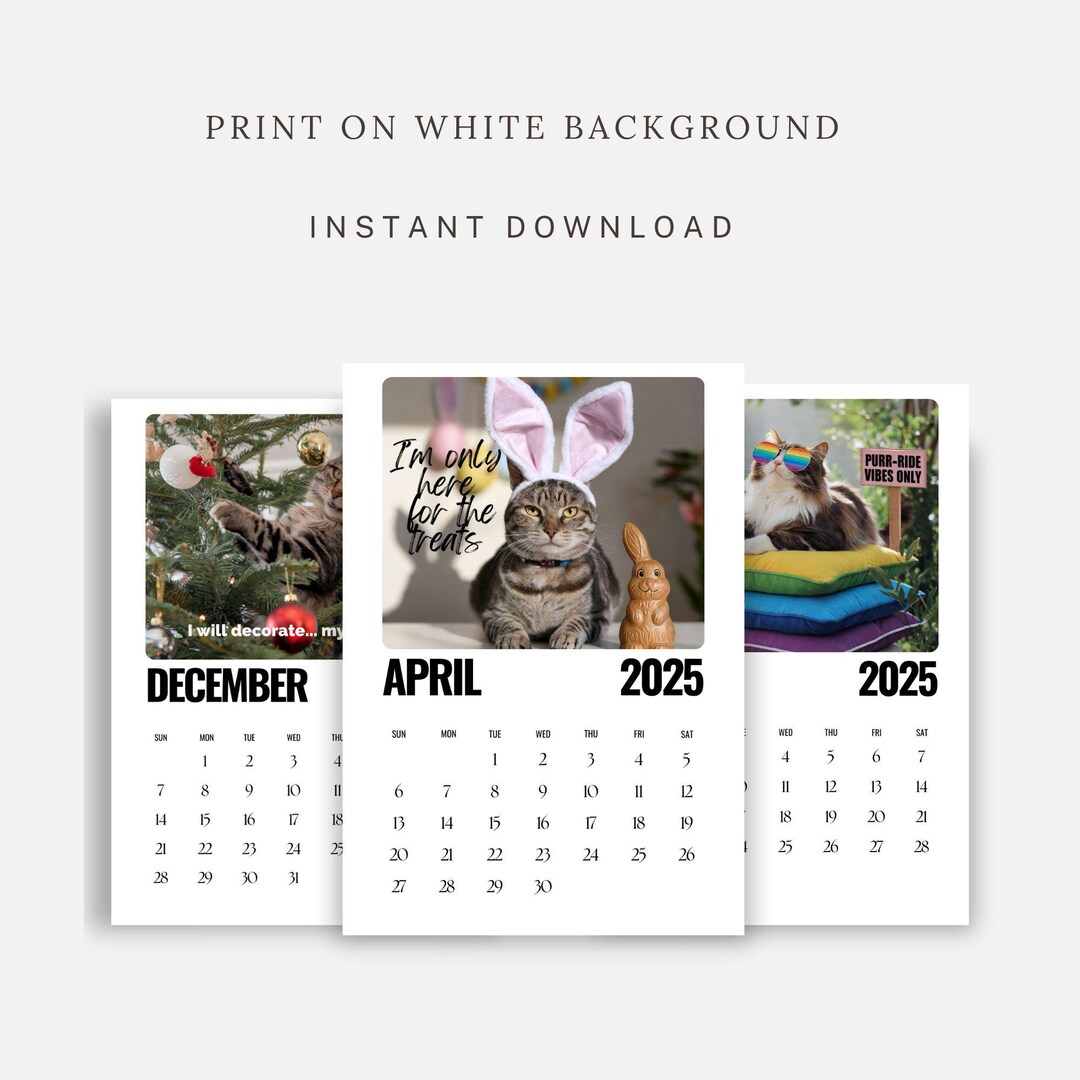 2025 Instant Download Calendars Cat Calendar 2025, Funny Cats Wall ...