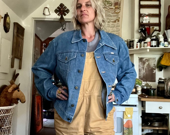 Rad 1970’s Vintage Do Nothing Sedgefield Denim Trucker Jacket Mens Size ...
