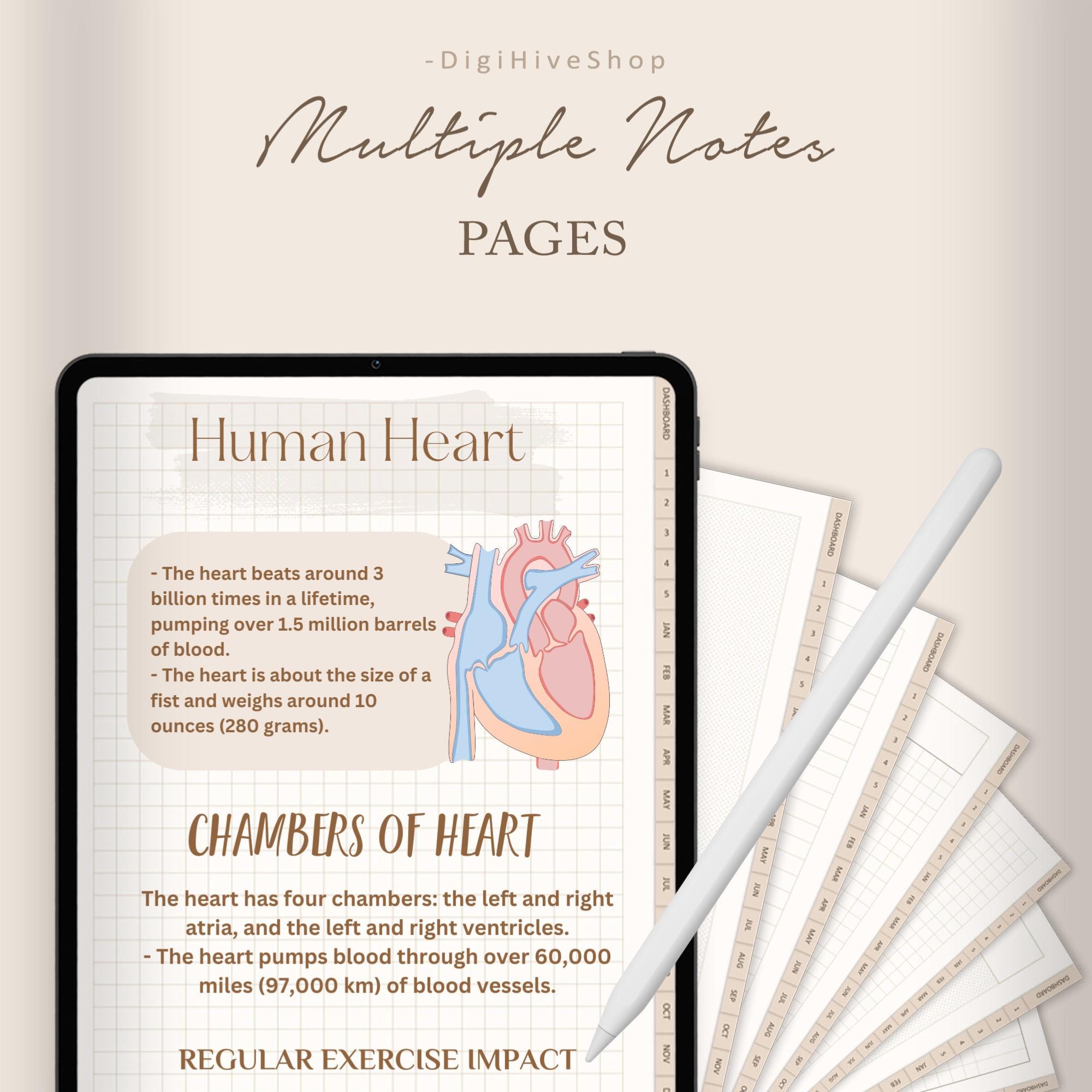 Digital Teacher Planner 2024 2025 Dated Academic Planner, Lesson ...