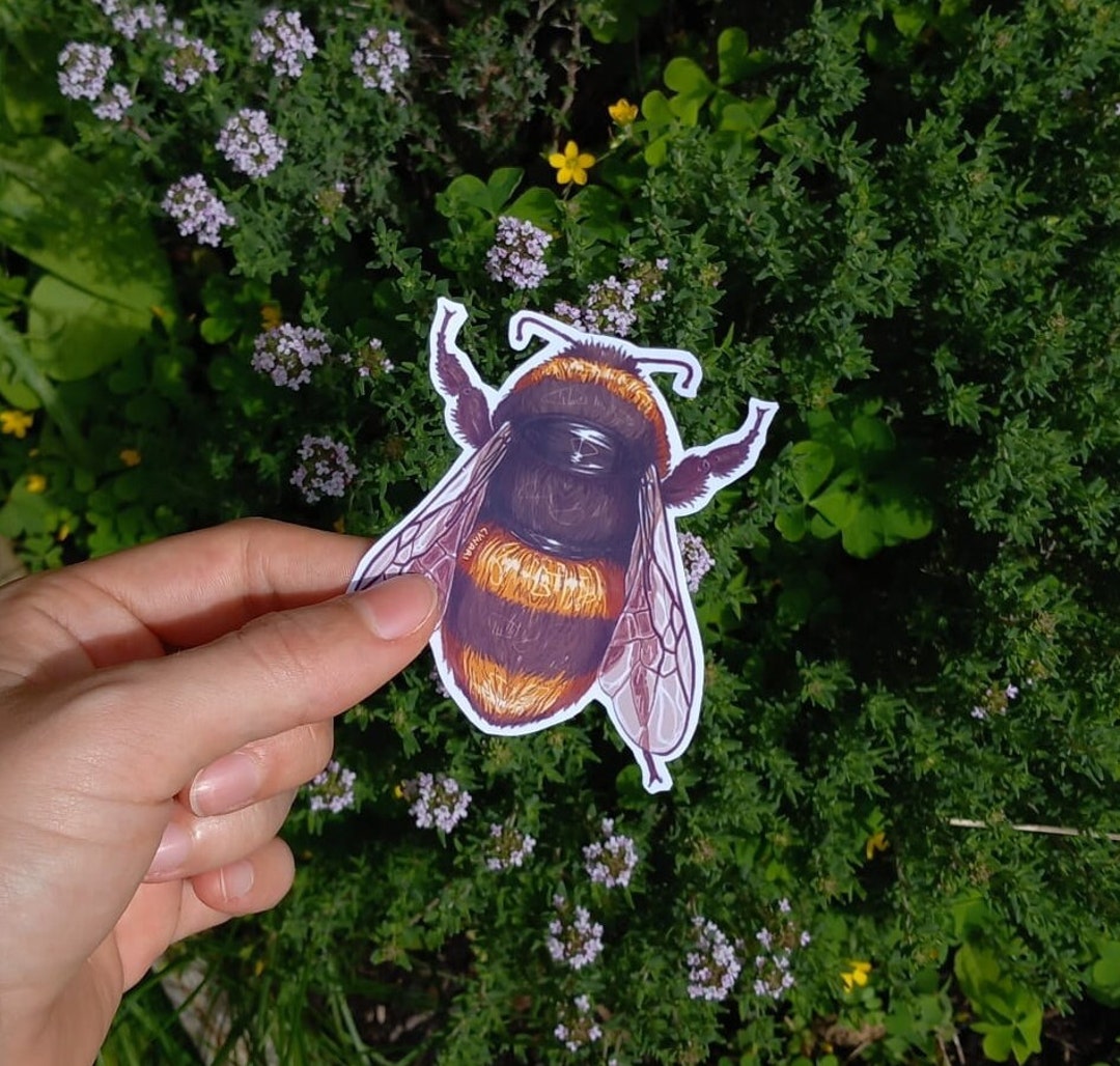 Bugs Large Stickers, Cute Gift Idea for Bug and Nature Lovers, Handmade ...