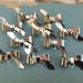 10 Vintage Bow Pins Supply Silver Metal - Etsy
