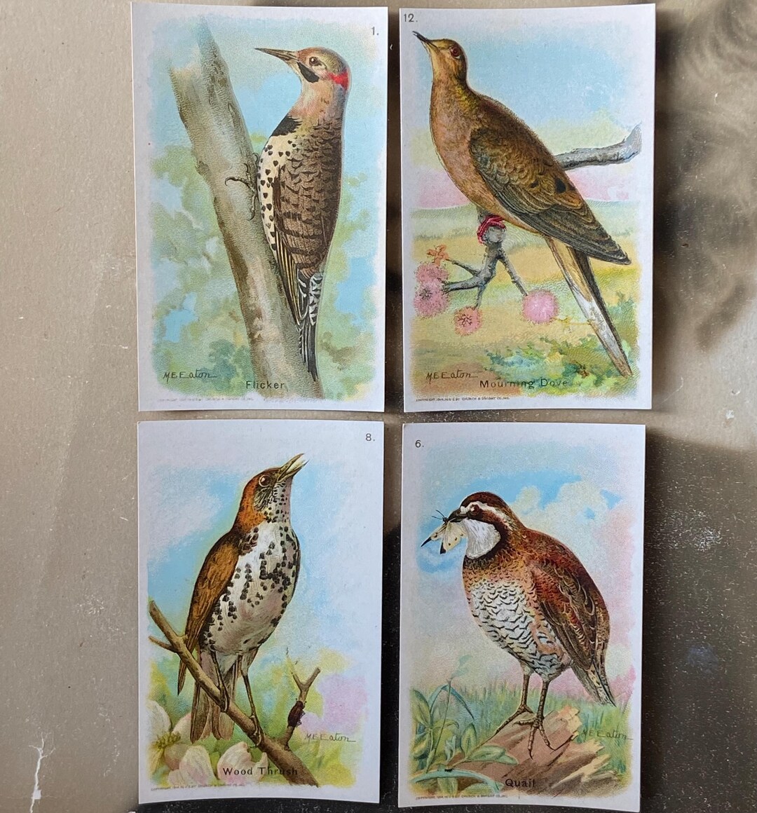 4 Vintage Bird Ephemera Birds Trading Cards Game Birds Advertising Arm ...